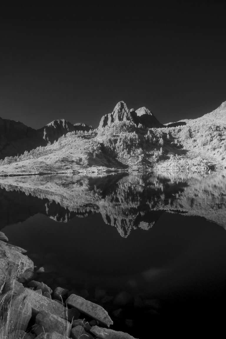 IR Photography: The Beginner’s Guide – True Color Infrared