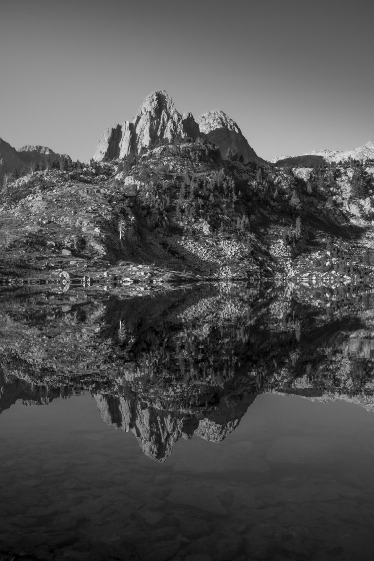 IR Photography: The Beginner’s Guide – True Color Infrared